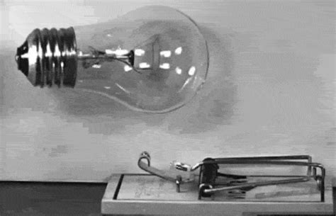 V Physics GIF Find Share On GIPHY