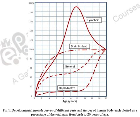 Human Growth Curves Of Different Body Parts And Tissues Human Growth Development And Nutrition
