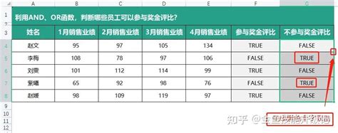 逻辑判断函数：or条件判断 知乎