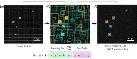 Detection Principle A The Network Takes An Input Rgb Image Of Size