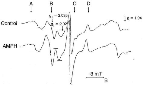 Role Of Nitric Oxide In Psychostimulant Induced Neurotoxicity