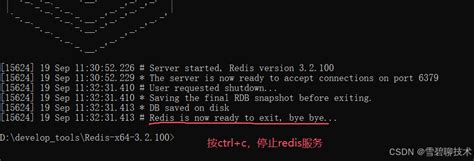 Redis简介与使用redis官网 Csdn博客