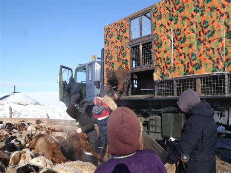 Сарын хугацаанд 4 2 тэрбум төгрөгийн мал мах арилжжээ