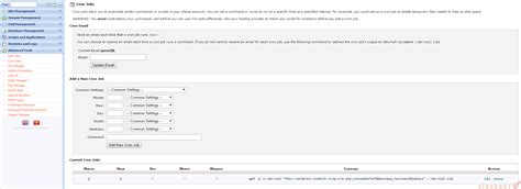 Hướng Dẫn Tự động Backup Database Của Website Wordpress Lên Vinahost