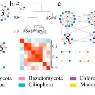 PDF Flooding Irrigation Weakens The Molecular Ecological Network Complexity Of Soil Microbes