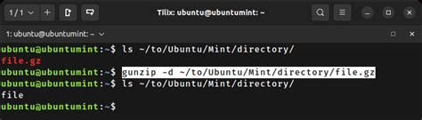 How To Uncompress A ‘gz File In Linux With Gunzip Command Linux Blimp