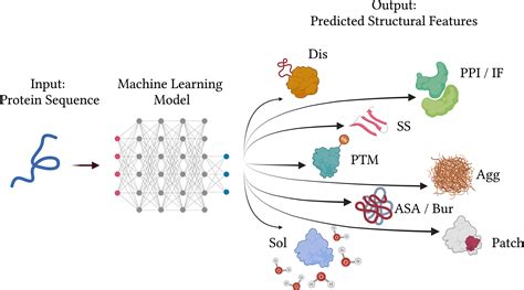 Ten Hacks For Predicting Protein Properties From Sequences Using