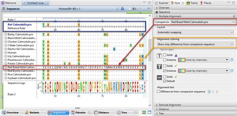 Visually Compare Other Sequences To One Sequence User Guide To