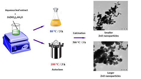 Synthesis Of Zno Nanoparticles By Using Rosmarinus Officinalis Extract