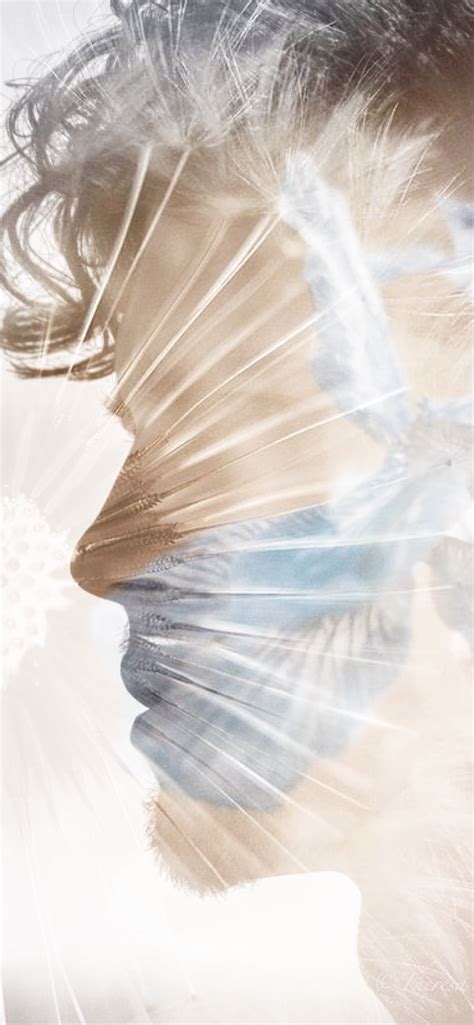 Dead Leaf Background By Dirkozz On Deviantart