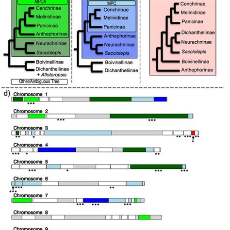 A Primary Nuclear Topology Found Using All Methods B Secondary Download Scientific Diagram