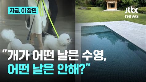 개가 어떤 날은 수영하고 어떤 날은 안 하나윤 측근의 개 수영장 반박｜지금 이 장면 Youtube
