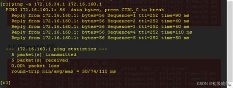 ospf终极实验 csdn博客