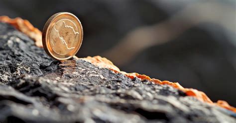 Mql5 Mt5 Riskmanager Algotrading Mql5 Algo Trading