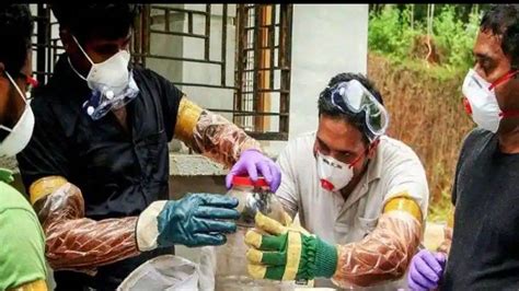 Nipah Virus केरल में पांच और नमूनों का टेस्ट आया नेगेटिव होम आइसोलेशन में 900 से अधिक लोग