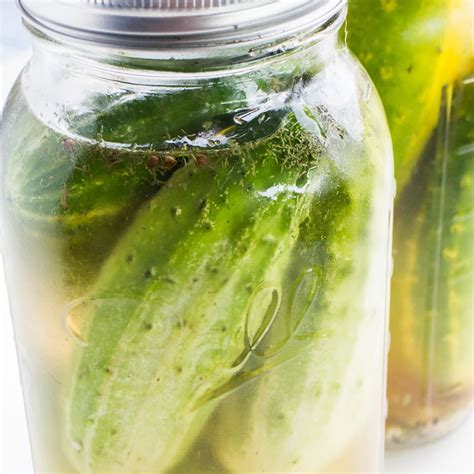 Jewish Deli Half Sour Pickles At Janelle Howell Blog