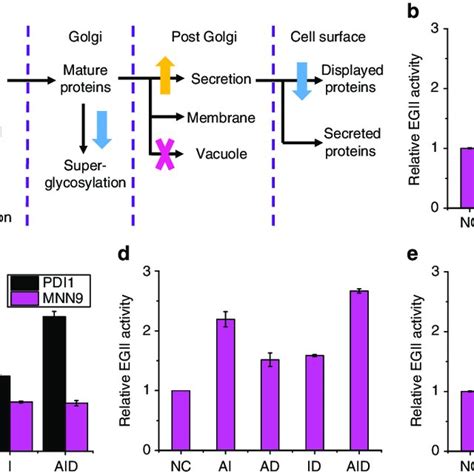 Pdf Combinatorial Metabolic Engineering Using An Orthogonal Tri Functional Crispr System