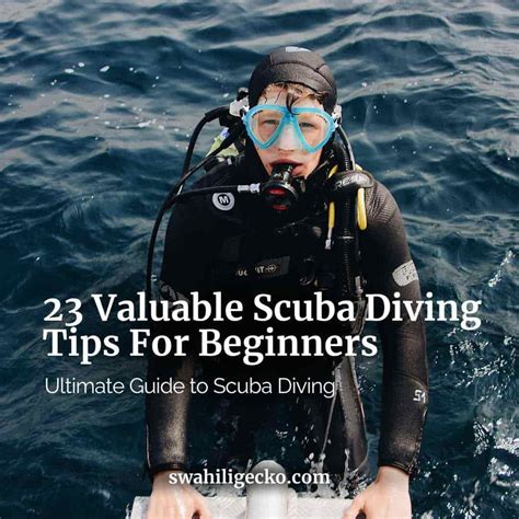Diving Tips Techniques At Marjorie Hiller Blog