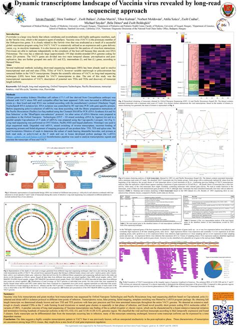 Dynamic Transcriptome Landscape Of Vaccinia Virus Revealed By Long Read Sequencing Approach
