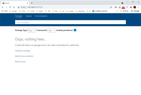 How To Use Baget To Build Nuget Private Server Coding Life