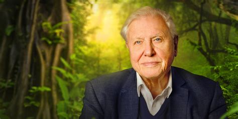 Green Screen David Attenborough A Life On Our Planet Live Qanda