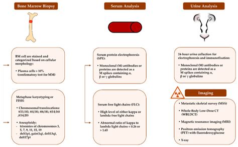Kappa Light Chain Multiple Myeloma Prognosis Shelly Lighting