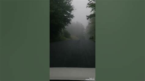 في غابات عباس اباد شمال ايران Youtube