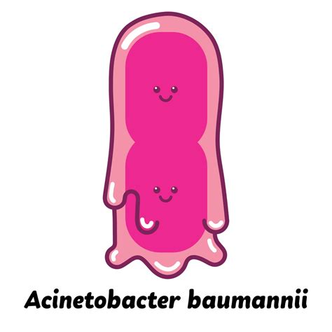 Mucoid Bacteria Rmedlabprofessionals