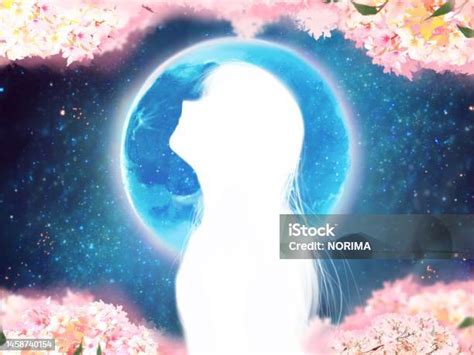 ดอกซากุระบานเต็มที่ในเวลากลางคืนภาพประกอบของหญิงสาวในภาพเงาที่มีผมยาวกระพือปีกในสายลม ภาพประกอบ