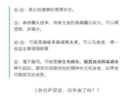 狗狗拉肚子到底怎么解决很多人都做错了 病症 维宠宠物导航网