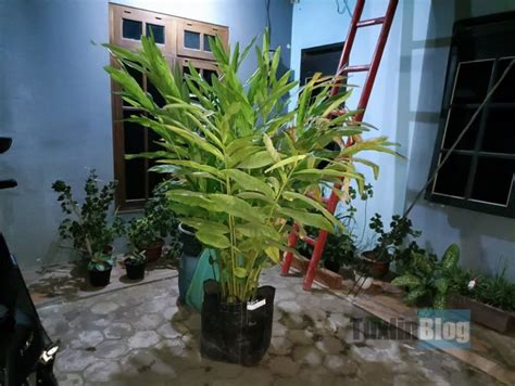 Review Kamera Poco X Gt Mp Dengan Sensor Omnivision Ov B Tuxlin Blog