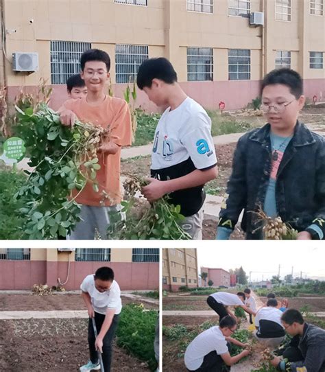 学生“种菜”忙，实践快乐多——定远县能仁学校实践基地秋季种植收获活动报道凤凰网安徽凤凰网