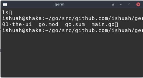 Build A Simple Terminal Emulator In 100 Lines Of Golang
