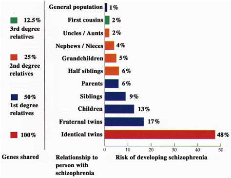 The Causes Of Schizophrenia
