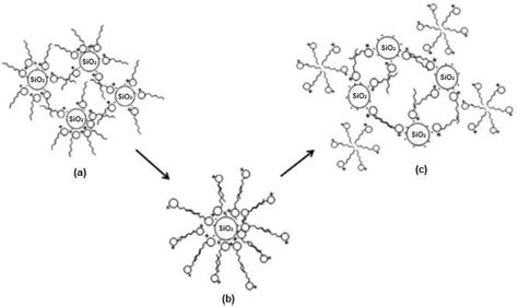 The Illustration Of The Interaction Between Sio2 With Cta In A Low