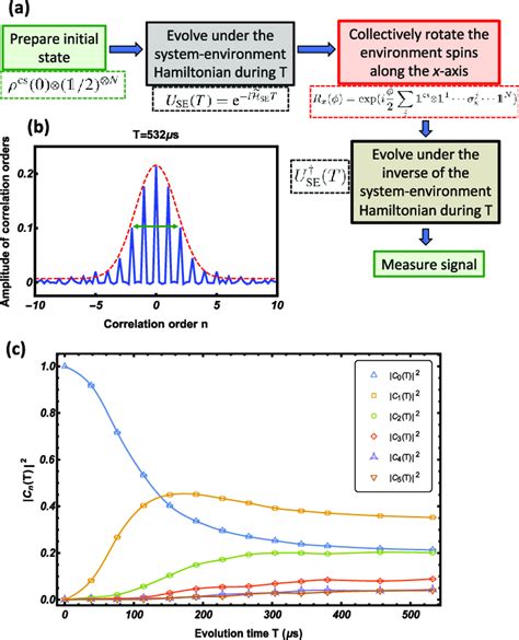 The Multispin Correlation Detection Mcd Experiment The Stages Of The Download Scientific