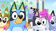 Faceytalkgallery Bluey Wiki Fandom