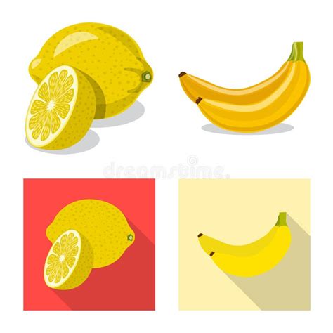 Objeto Aislado Del Logotipo De La Verdura Y De La Fruta Colección De
