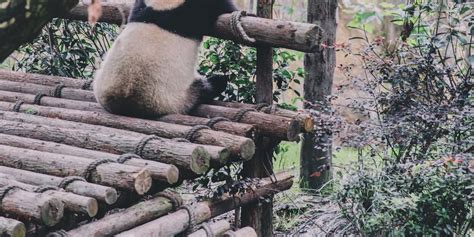 How I Use Css Grid For Sticky Headers Dev Community