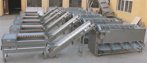 fruit vegetable grading sorting line