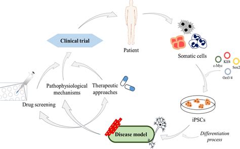 Main Applications Of Patient‐derived Ipscs Somatic Cells From A