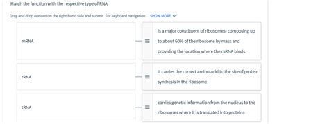 Solved Match The Function With The Respective Type Of RNA Chegg Com