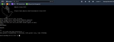 Setting Up Vpcs For Departmental Isolation And Peering By Hitesh Pipalia Oct 2024 Medium