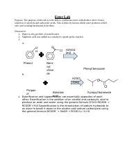 Ester Lab Ester Lab Purpose The Purpose Of This Lab Is To Be Able To Synthesise Esters With