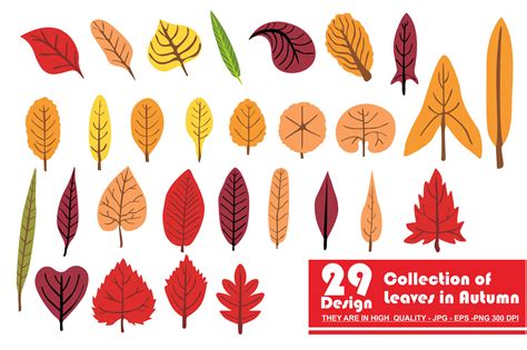 Different Shapes Of Leaves In Autumn Graphic By Arief Sapta Adjie · Creative Fabrica