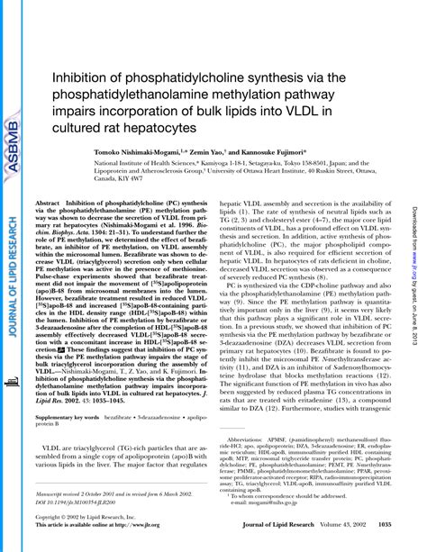 Pdf Inhibition Of Phosphatidylcholine Synthesis Via The Phosphatidylethanolamine Methylation