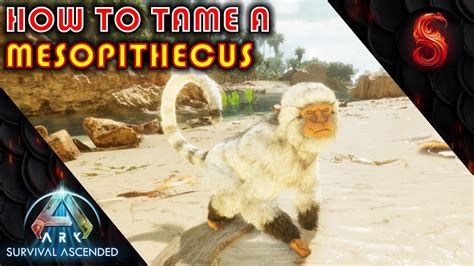 Ark Survival Ascended How To Tame A Mesopithecus Youtube
