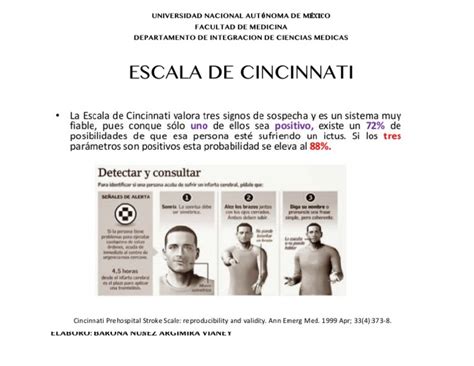 Anexo 10 Escala De Cincinati Pdf