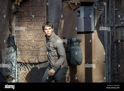 Maze Runner Ben Stung