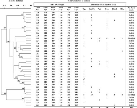Mlva Based Dendrogram And Genotype Scores Derived From Results Of The Download Scientific